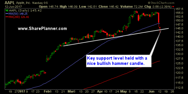 Bullish Hammer Candlestick Trade Setups in AAPL GOOGL FB - SharePlanner